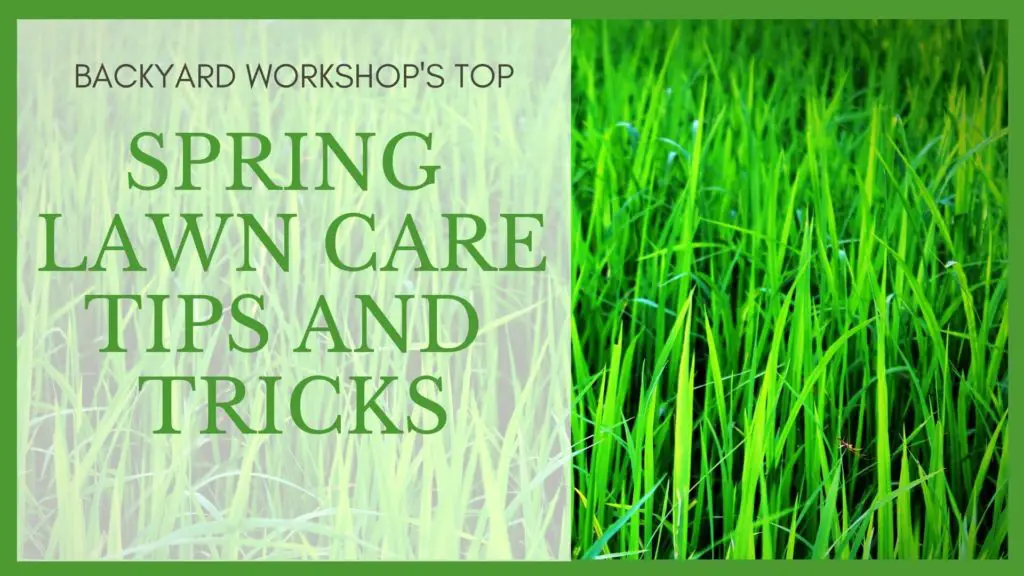 Spring Lawn Care Tips and Tricks - BackyardWorkshop.com