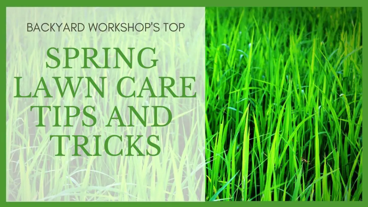 Spring Lawn Care Tips and Tricks - BackyardWorkshop.com