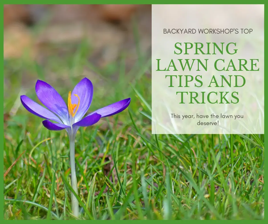 Spring Lawn Care Tips and Tricks - BackyardWorkshop.com